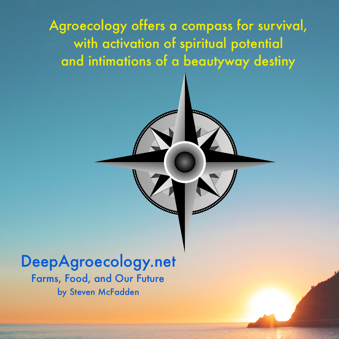 Podcast book review of Deep Agroecology (5 minutes) * Chiron Communications